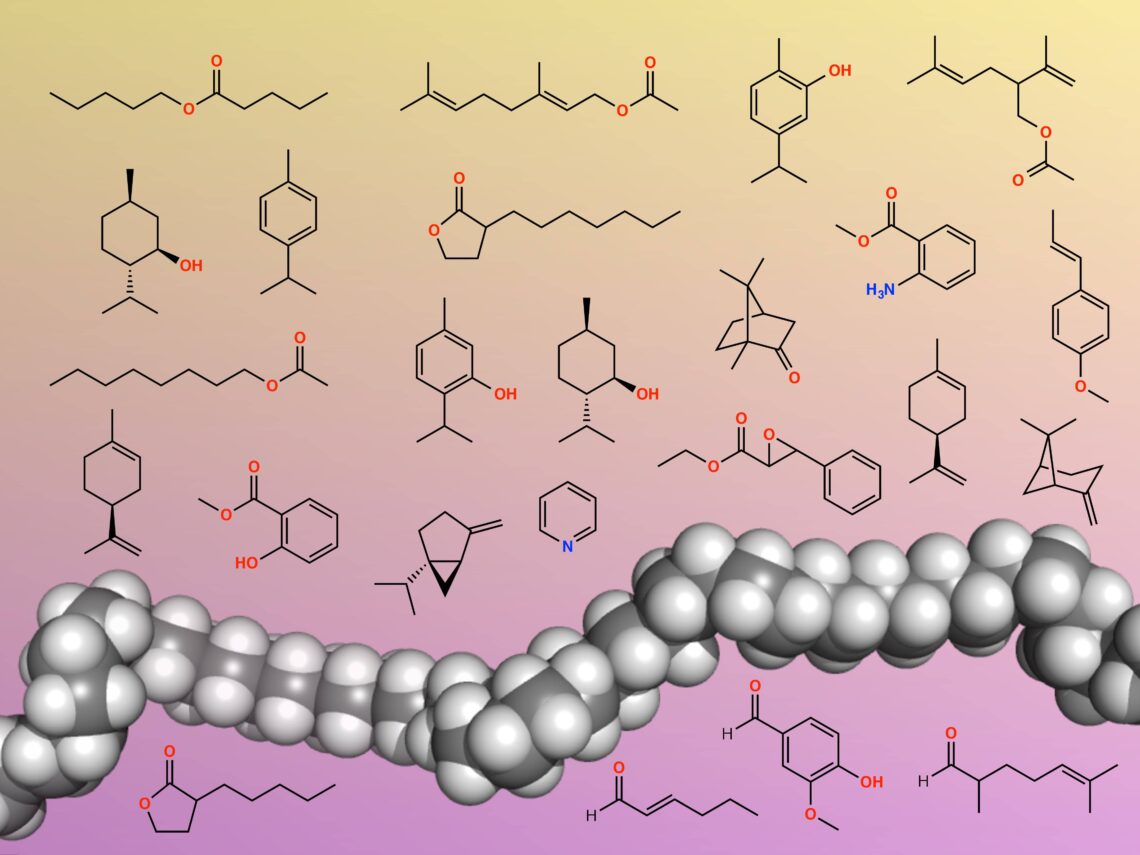 STEM Biochemistry Lessons | Biochemistry Literacy for Kids
