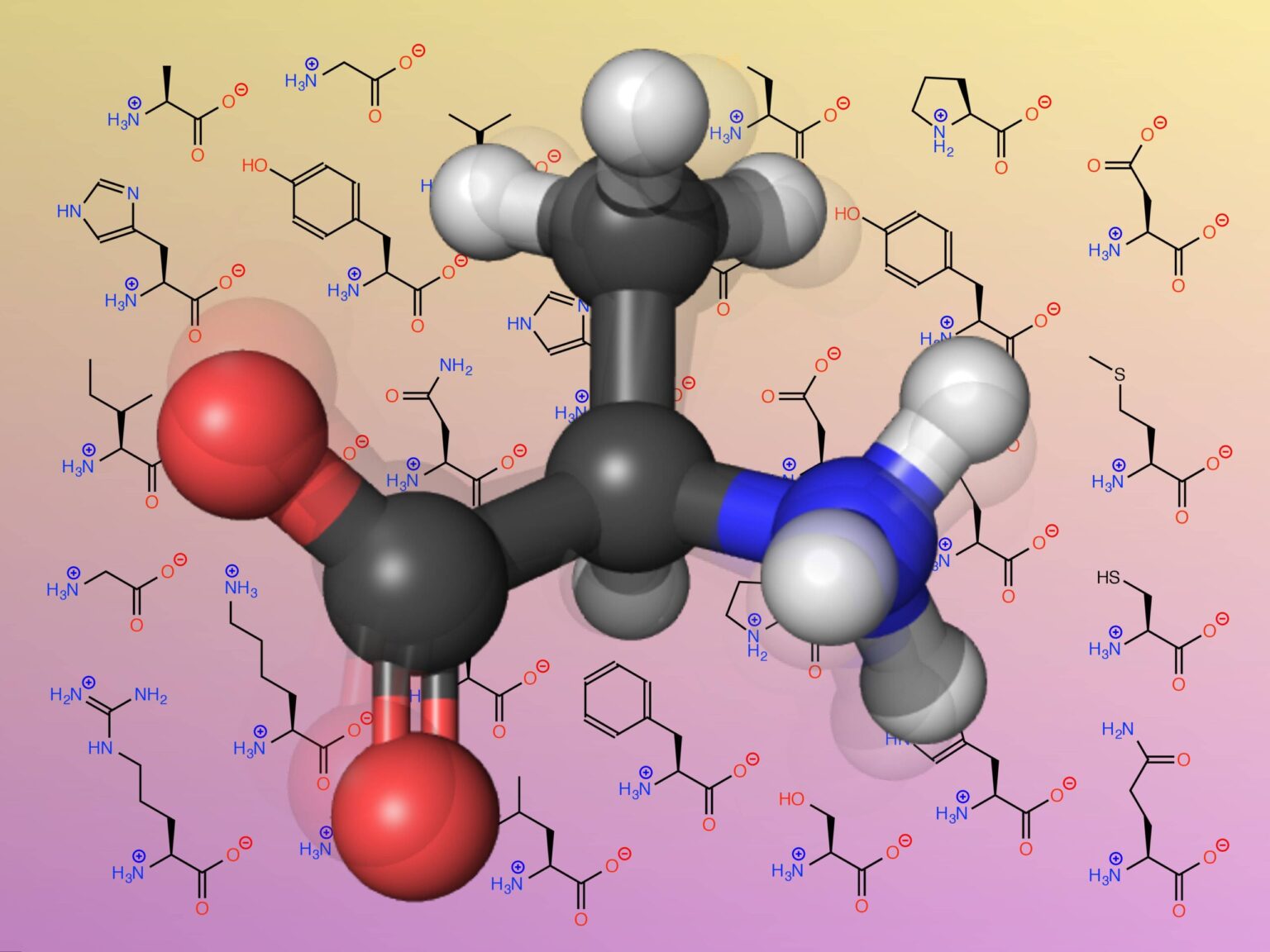STEM Biochemistry Lessons | Biochemistry Literacy for Kids