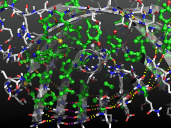 STEM Biochemistry Lessons | Biochemistry Literacy for Kids