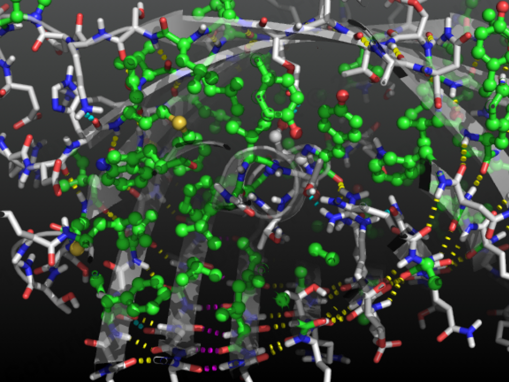 STEM Biochemistry Lessons | Biochemistry Literacy for Kids