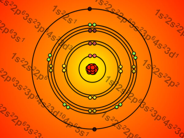 STEM Biochemistry Lessons | Biochemistry Literacy for Kids