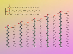 STEM Biochemistry Lessons | Biochemistry Literacy for Kids