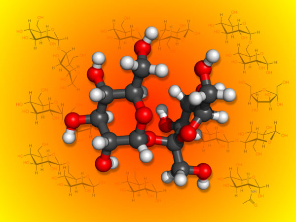 STEM Biochemistry Lessons | Biochemistry Literacy for Kids
