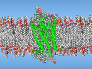 STEM Biochemistry Lessons | Biochemistry Literacy for Kids