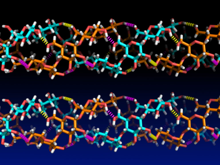 STEM Biochemistry Lessons | Biochemistry Literacy for Kids