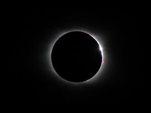 STEM Biochemistry Lessons | Biochemistry Literacy for Kids