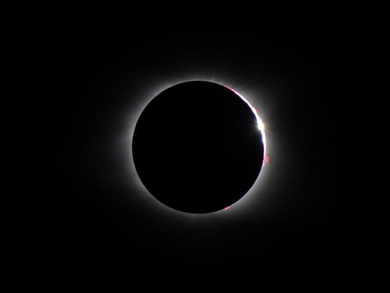 STEM Biochemistry Lessons | Biochemistry Literacy for Kids