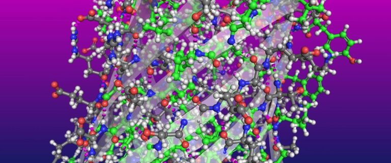 Biochemistry Literacy for Kids Homepage